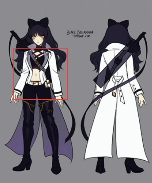 RWBY Volume 4 Blake Belladonna Cosplay Costume - Only the Coat