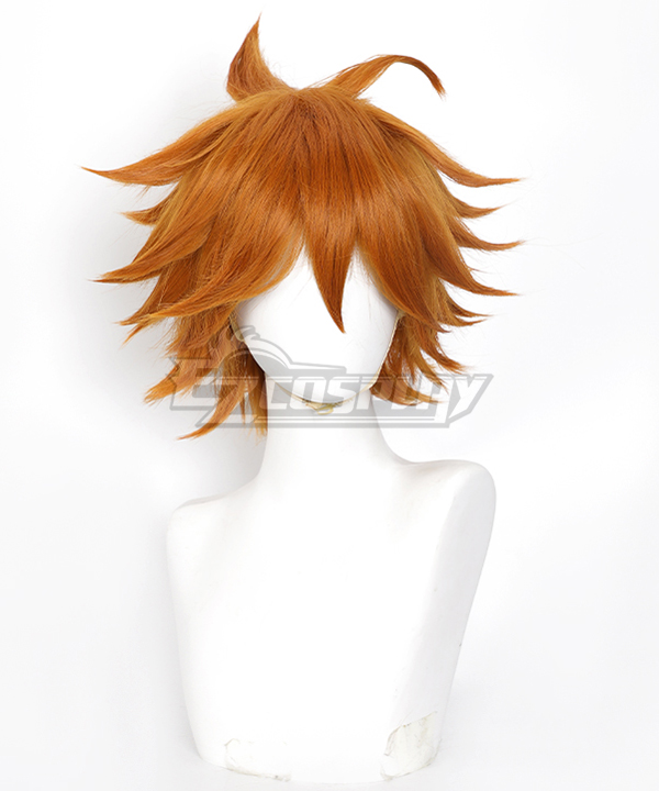 dirty dancing johnny wig